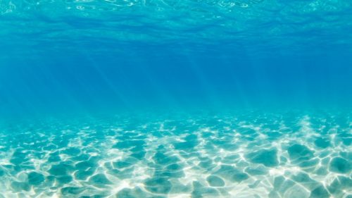 What Absorbs The Most Sound? 11 Things That Does, Kinda!